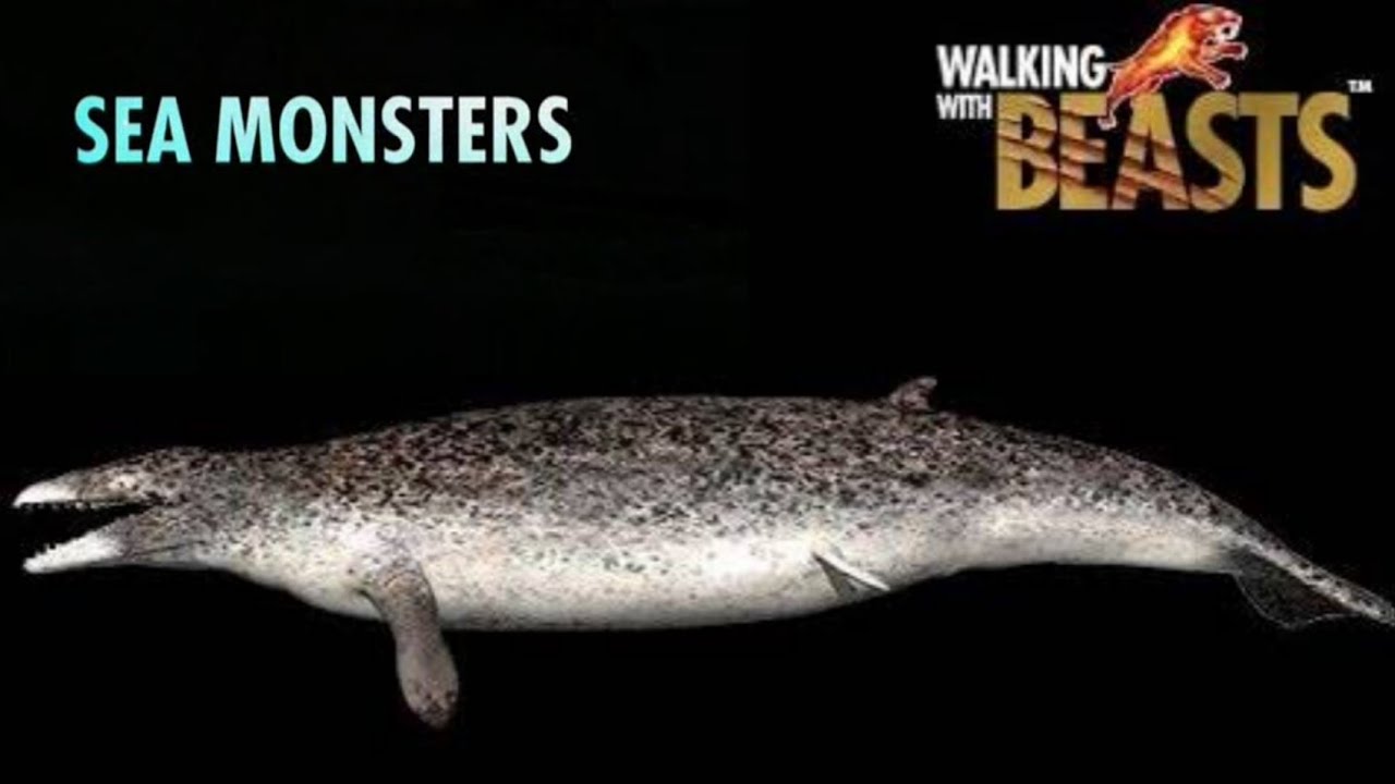Walking With Series [2001 - 2004] - Dorudon Screen Time