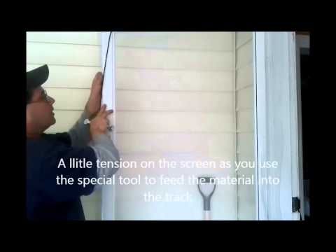 Tips on Keeping Bugs Away from Windows and Screen Doors | Hills Pest ...