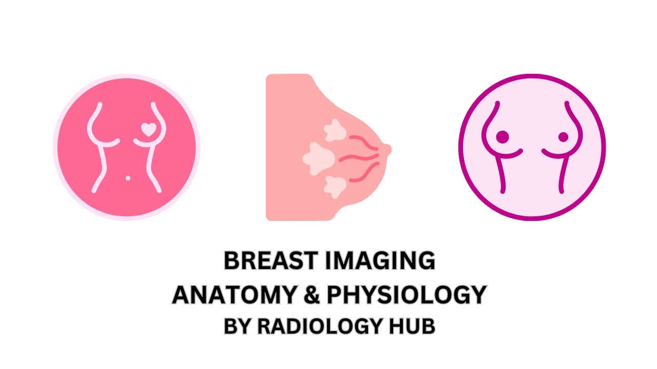 Breast Anatomy & Physiology