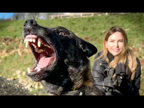 THE MALINIOS X - The New Super Military Protection Guard Dog