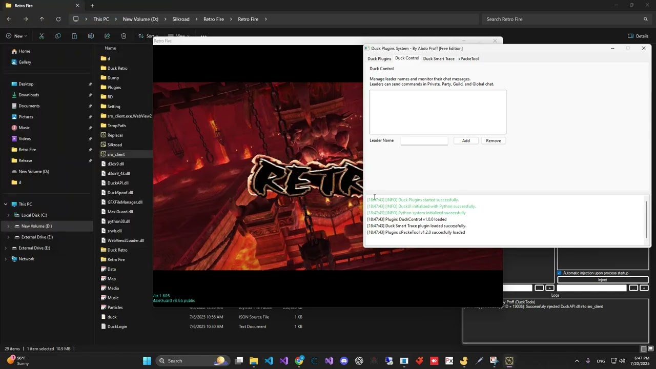 DuckAPI Explained: Build Python Plugins for Silkroad Online Like phBot - English