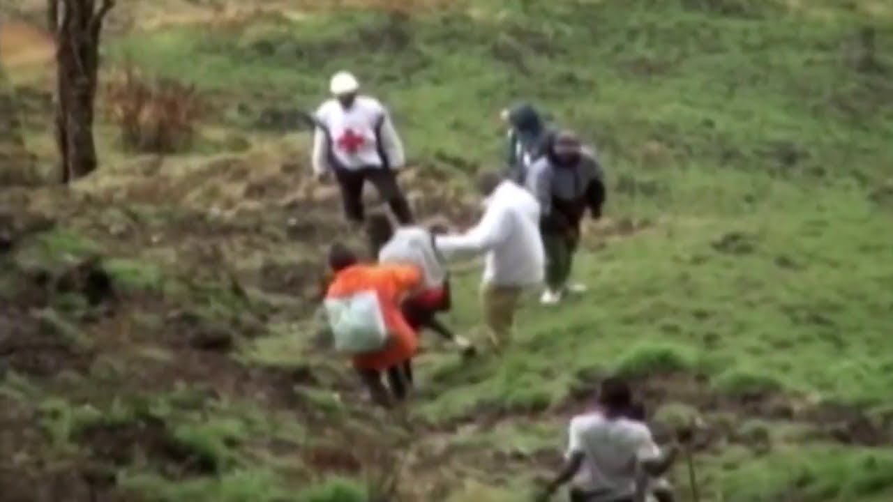 Mount Cameroon Race