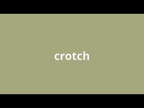 what is the meaning of crotch
