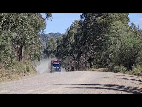 Kenworth t659 log truck southwood road.