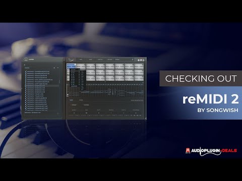 Quick start with reMIDI 2... a remedy for your sampling blues!