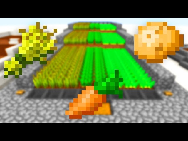 5 best wheat farm designs in Minecraft (2022)