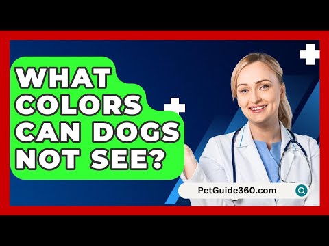 What Colors Can Dogs Not See? - PetGuide360.com