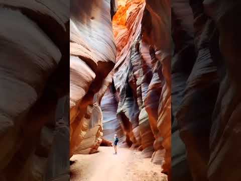 Beautiful Canyon You Have to See In USA #googleearth #googlemap #googleworld #map #shortvideo