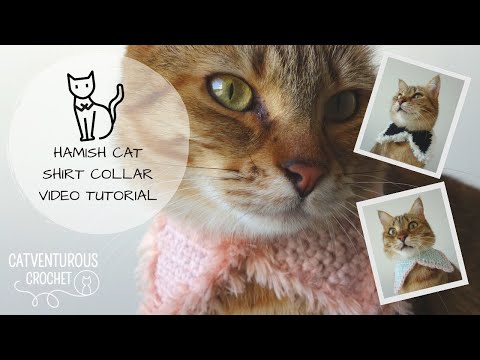 Hamish Cat Shirt Collar - Catventurous Crochet