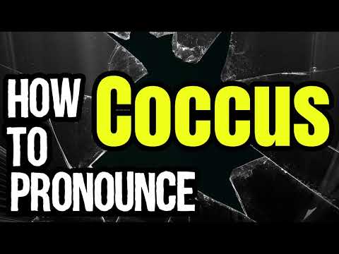 How To Pronounce Coccus? (CORRECTLY) Meaning & Pronunciation