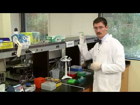 How to Minimize Contamination in qPCR Experiments