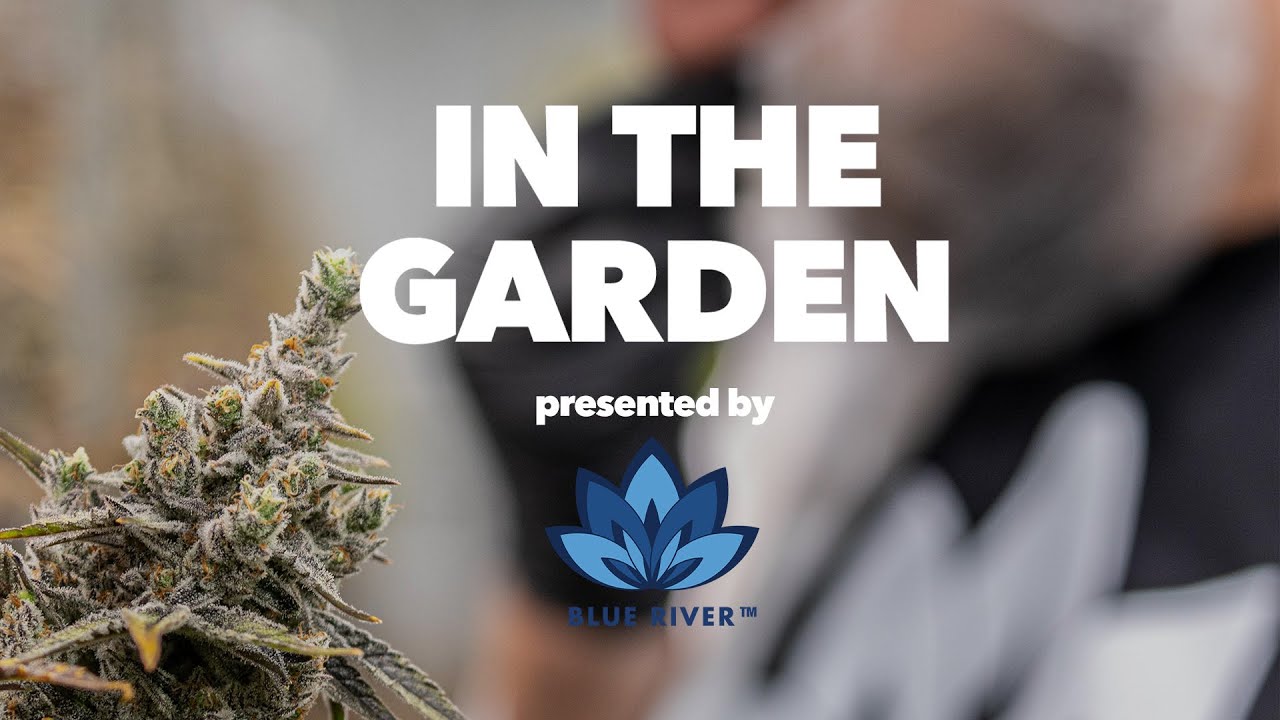 Blue River Terpenes Founder visits the Trulieve Grow House!