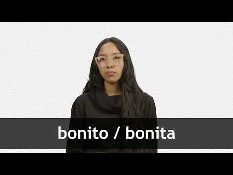 English Translation of “BONITO” | Collins Spanish-English Dictionary