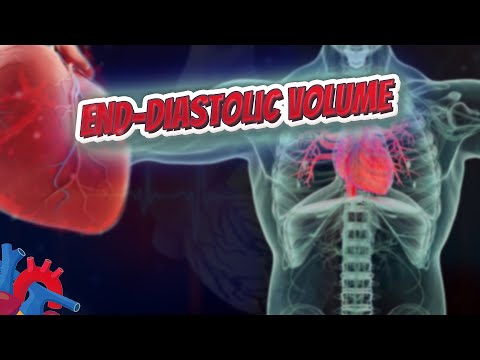 End diastolic volume - Human Heart ❤️ and Cardiology ❤️🔊✅