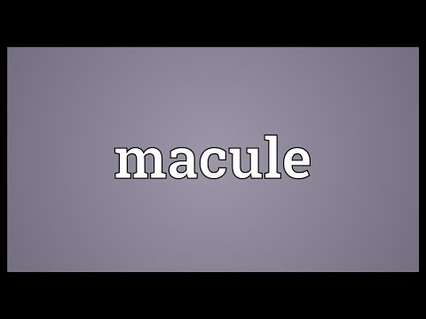 Macule Meaning