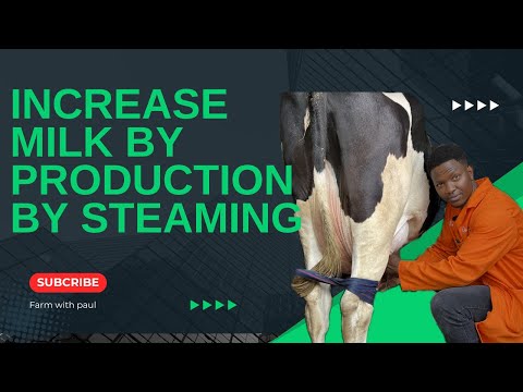 Dry Period In Cows: Feeding, Duration And Stages - Rich- Farmer