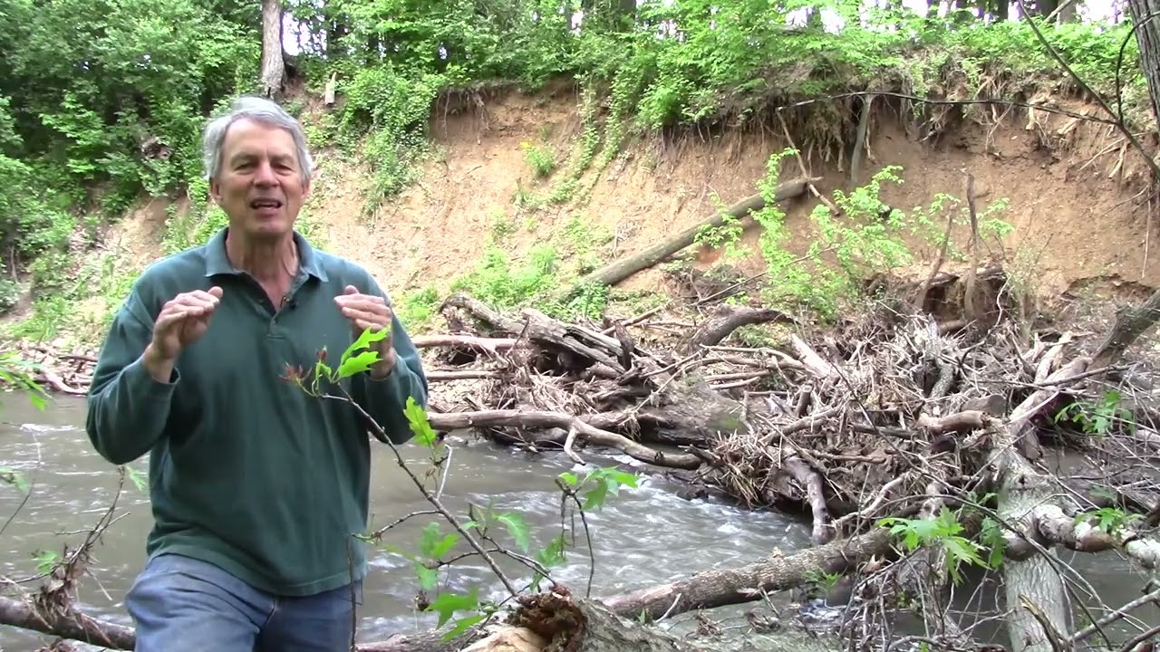 Stream Flooding and Erosion