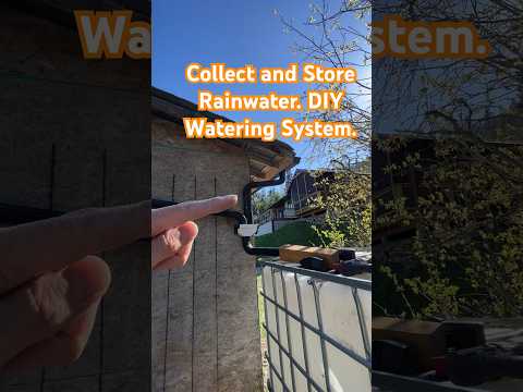 Collect & Store Rainwater. DIY watering System With Food Grade IBC Totes. #rainwaterharvesting