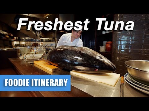 Eat Japan’s Freshest Maguro Tuna