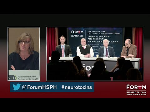 Chemical Exposures and the Brain: The Flint Water Crisis and More