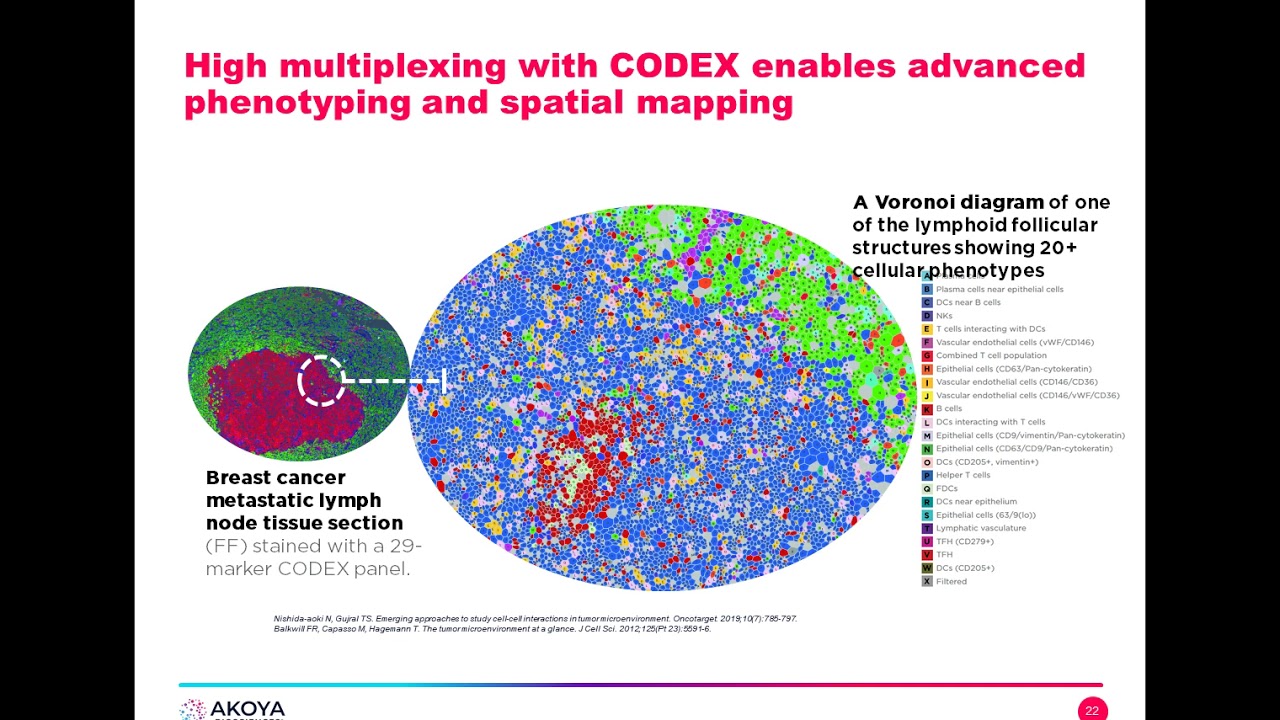 Validating Multiplexed Antibody Panels for Pancreatic Research Applications