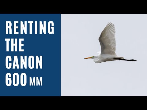 Renting Camera Lenses - 600mm Super Telephoto Lens