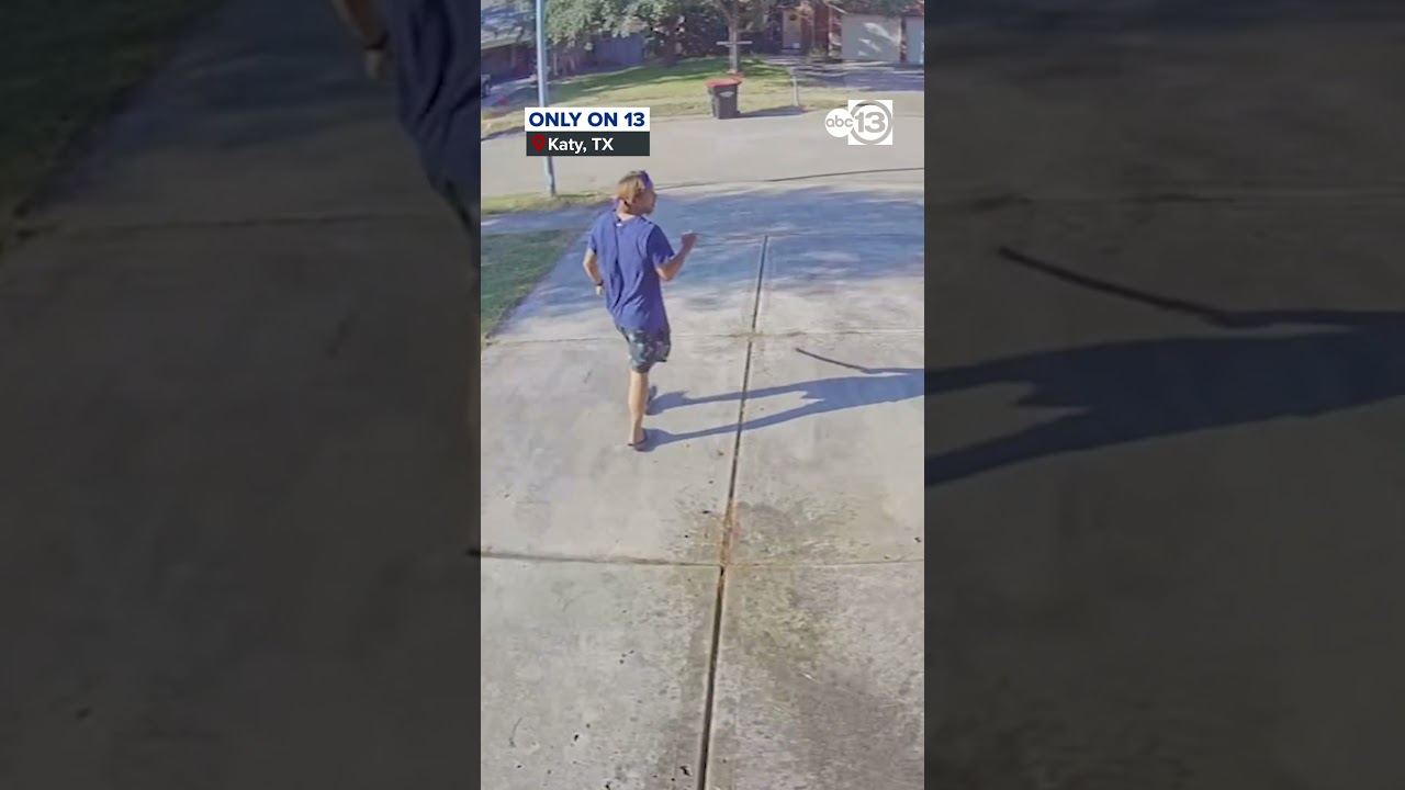 A machete-wielding man allegedly sets two houses on fire