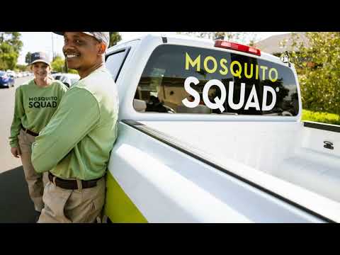 Austin Insect Control | Mosquito Squad of Austin | Control Spiders, Ticks, Stink Bugs, Fleas, More!
