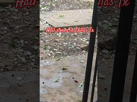 hail storm in Dallas Texas #weather