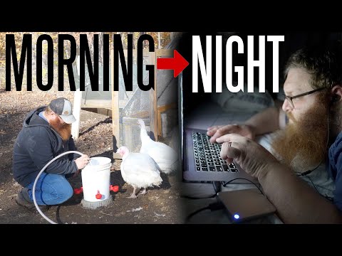 A Day In The Life Of A Homestead YouTuber
