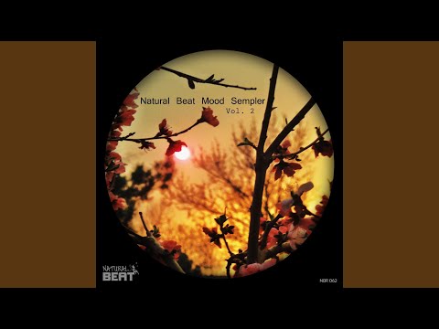 Raja (Original Mix)