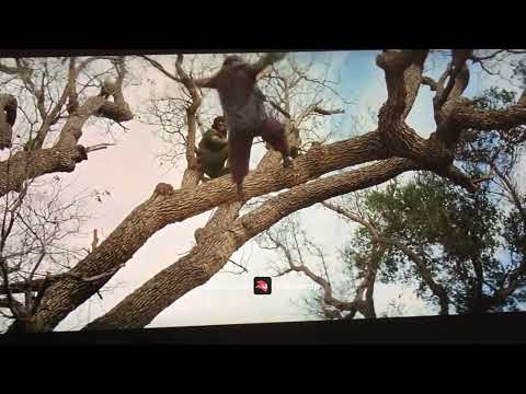 J. Lee Thompson vs Rupert Wyatt planet of the ape Koba/Aldo death