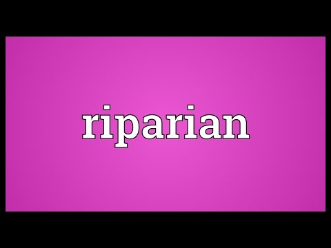 Riparian Meaning