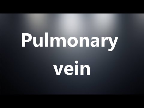 Pulmonary vein - Medical Definition and Pronunciation