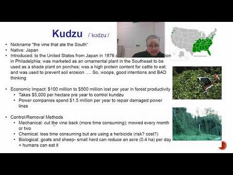 Population Growth Rates