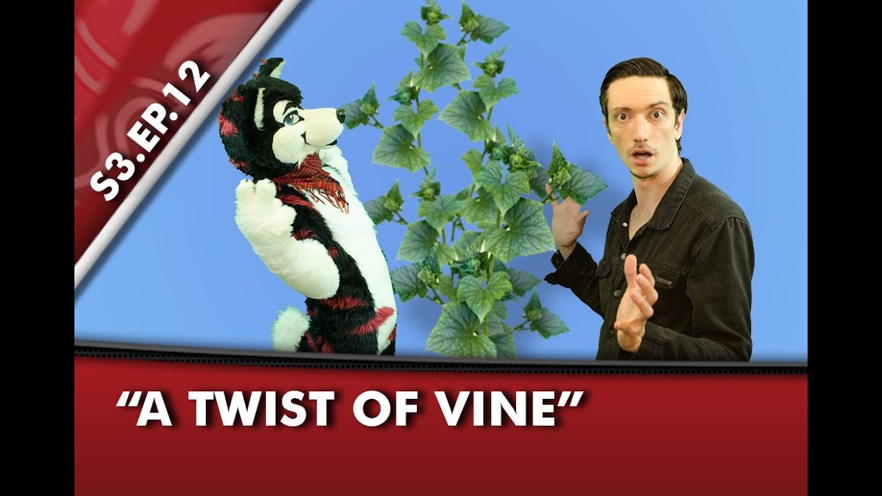 s3ep12: A Twist Of  Vine