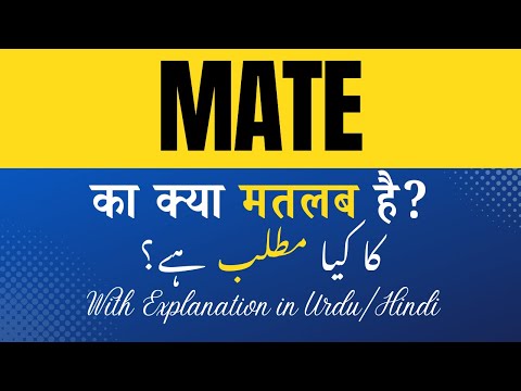 Mate Meaning in Hindi | 'Mate Ka Kya Matlab Hota Hai' Hindi/Urdu Explanation Included