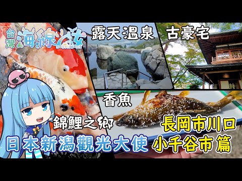 露天溫泉、超多大錦鯉、豪華古宅、肥美烤香魚!#日本鄉下哪裡好玩 #新潟觀光大使 #小千谷 #長岡 #川口 #日本