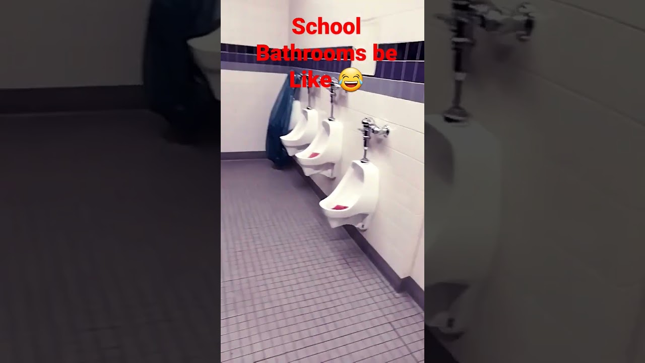School Bathrooms be like #shorts