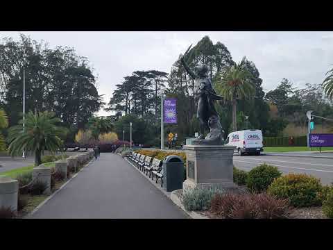 Amazing De Young Museum Fine Arts