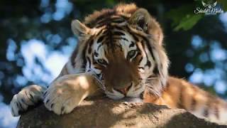 3 Best Places To Visit in Plymouth, UK - Expert Recommendations