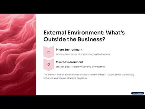 1.3 ACCA SBL Topic Explainer: Internal vs External Environment