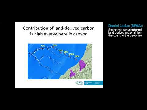 Webinar: Submarine canyons as ‘underground rivers’