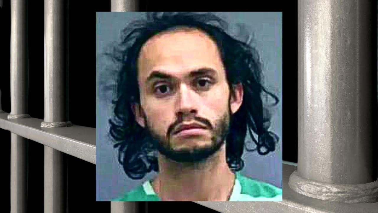 MAN IN CAT COSTUME Stabs His Roommate 