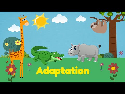 Adaptation - Science for Kids | @PrimaryWorld