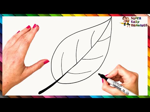 How To Draw A Leaf Step By Step π Leaf Drawing Easy