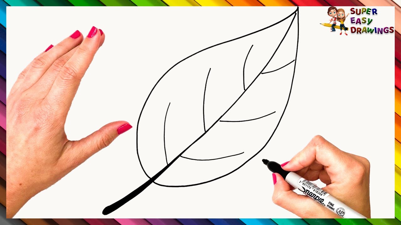 How To Draw A Leaf Step By Step 🍂 Leaf Drawing Easy
