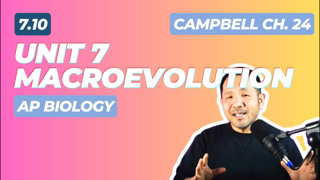 AP Biology: Chapter 24 (Campbell) on MACROEVOLUTION, Reviewed!