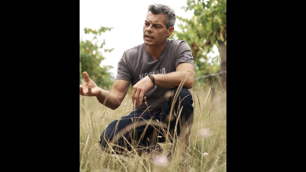 Coonawarra's First Certified Organic Vineyard | How Koonara's Approach Creates Better Wine