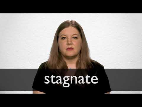 STAGNATE——含义、同义词和翻译| 柯林斯英语词典资源